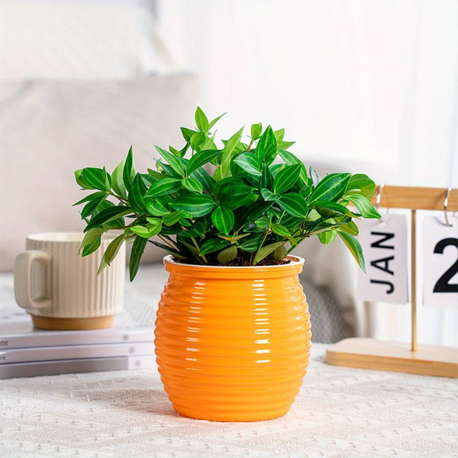 Other Gardening Supplies - Advanced Selfwatering Flower Pot Elegant ...