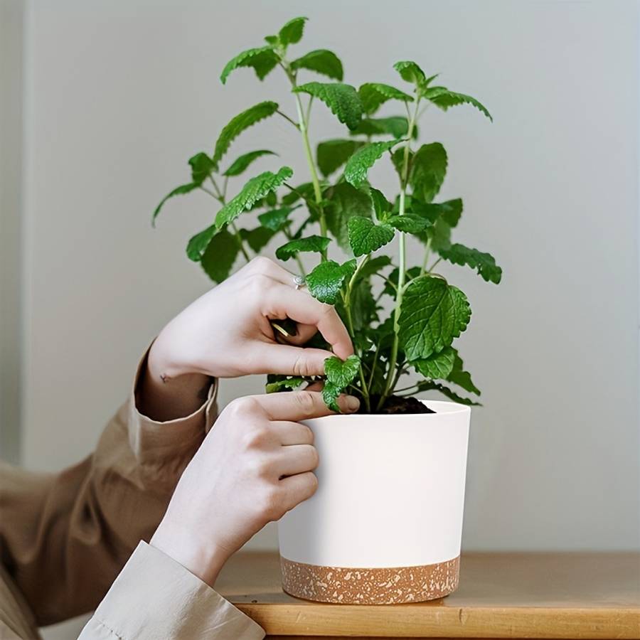 Other Gardening Supplies - 4Pcs High Grade Cm Flower Pots Indoor Plant ...