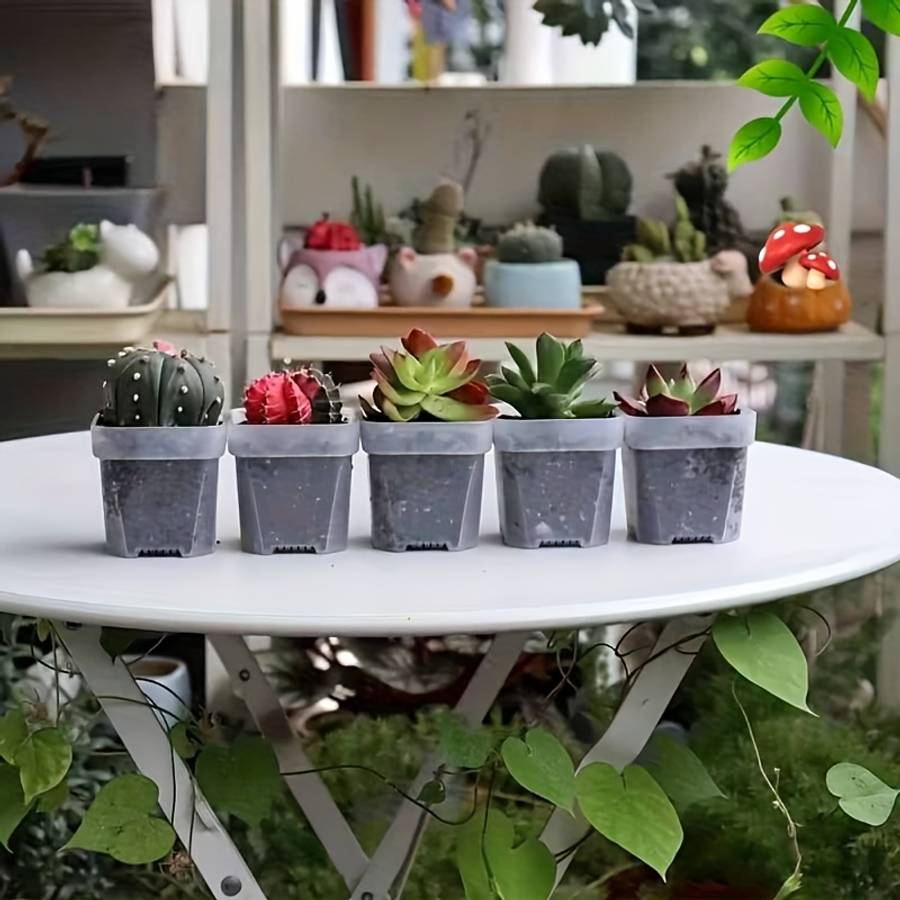 Other Gardening Supplies - 20Pcs Minimalist Mini Transparent Square ...