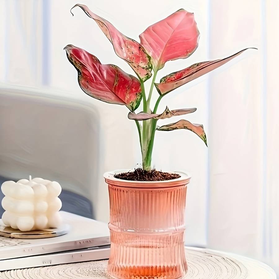 Other Gardening Supplies - 2Pcs Sleek Selfwatering Bamboo Flower Pot ...