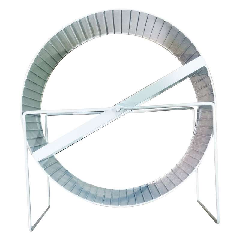 Exercise & Toys - Daro Rodent Wheel - Metal for sale in Kraaifontein ...