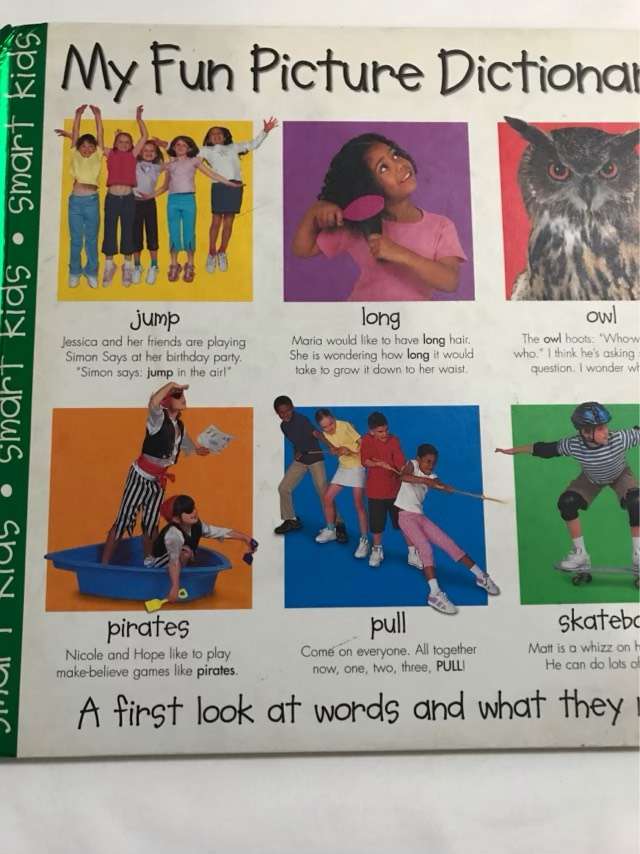 Educational - My Fun Picture Dictionary - Sheila Hanly for sale in ...