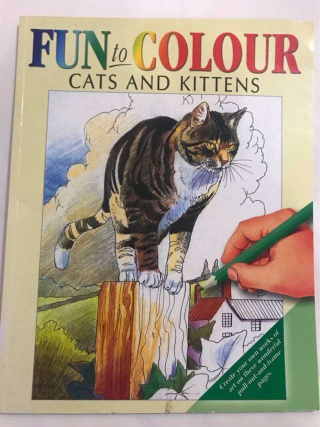 Activity & Colouring - Fun to Colour, Cats and Kittens - Peter Haddock ...