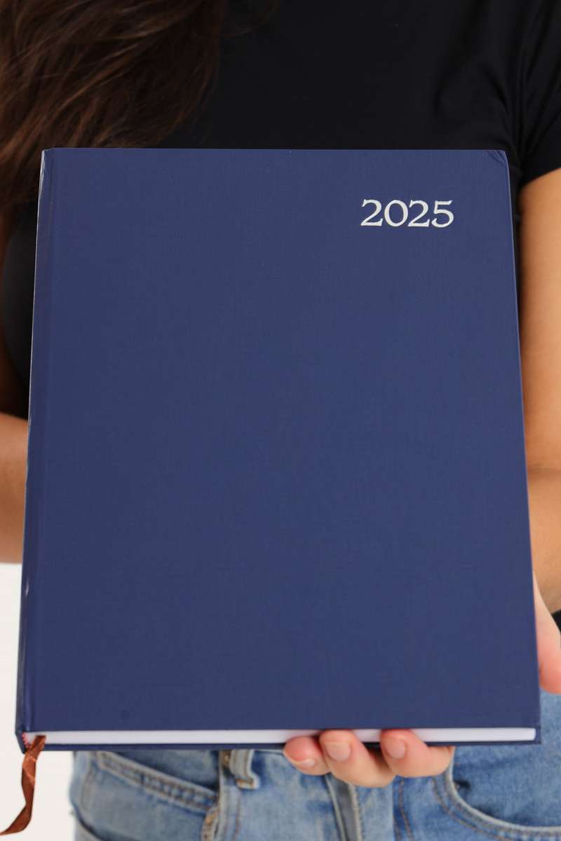 Notebooks & Paper - 2025 Diary Daily Planner A4 290mm X 210mm was sold ...