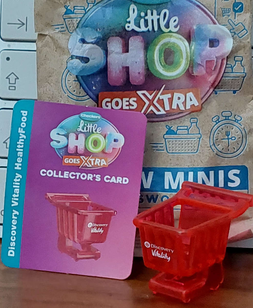 Other Collectable Toys - Checkers Little Shop Mini Discovery Vitality ...
