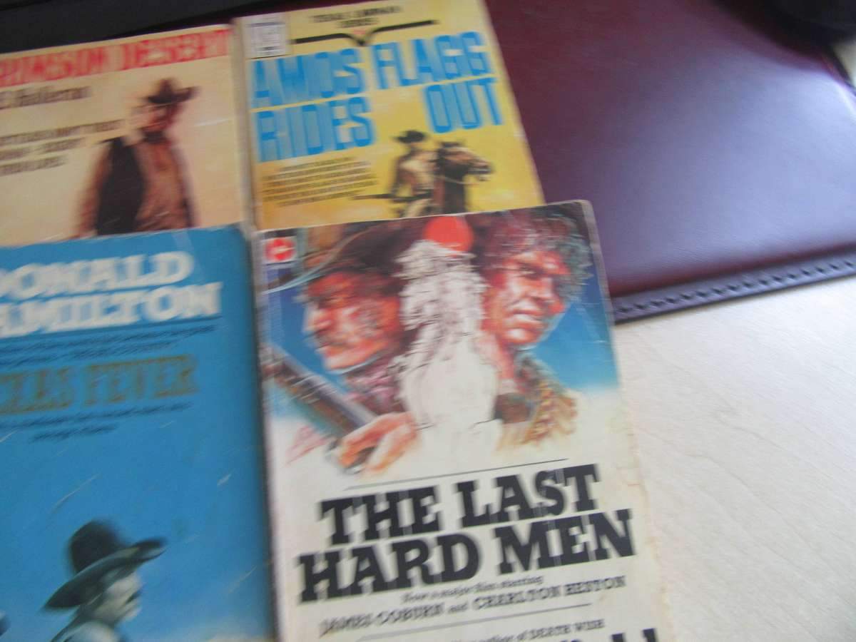 Wholesale & Bulk Lots - WESTERN COMBO 1 - 4 VARIOUS - BID PER BOOK - LD ...