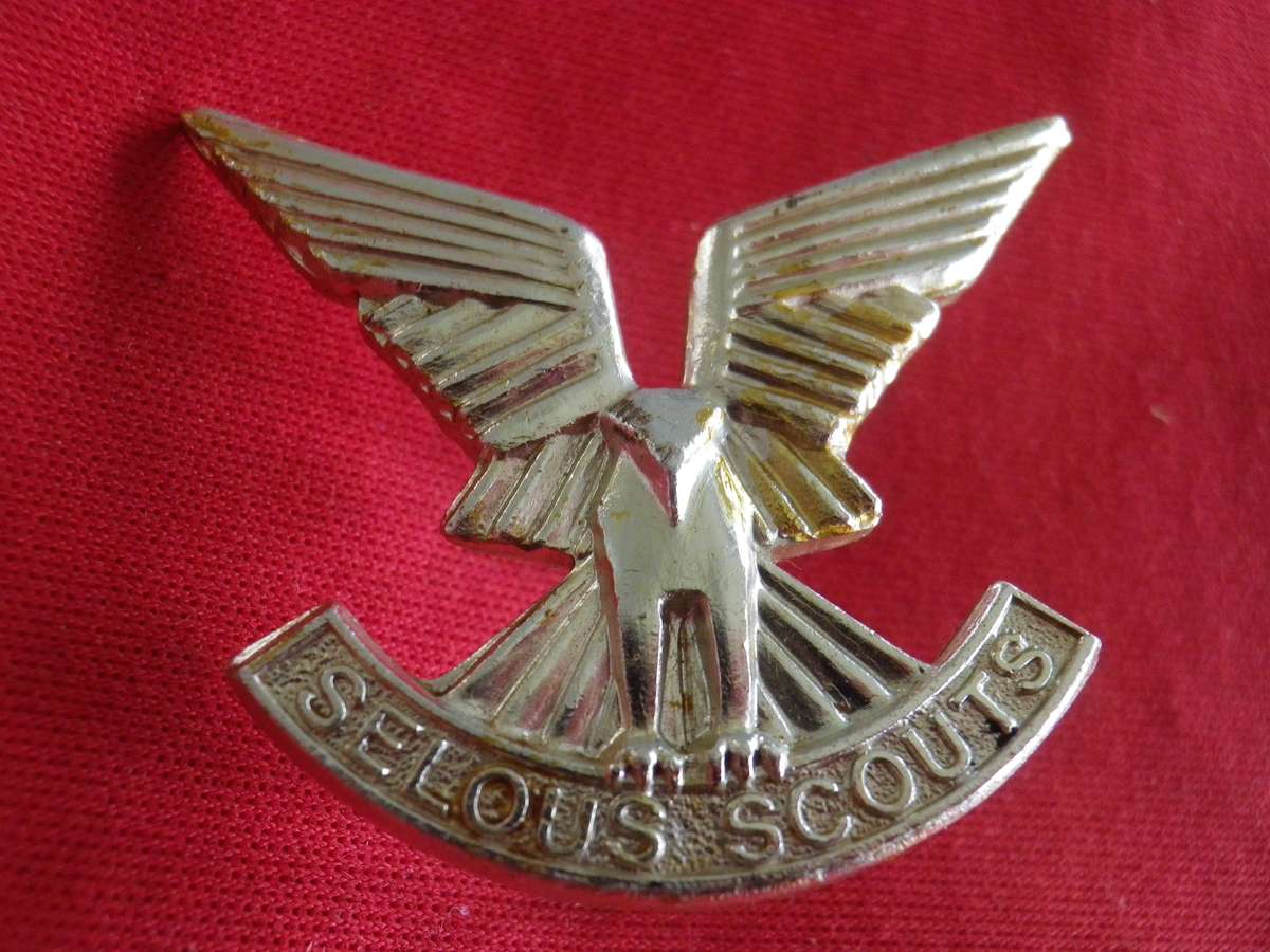 International Badges & Insignia - RHODESIAN ARMY - SELOUS SCOUTS ...