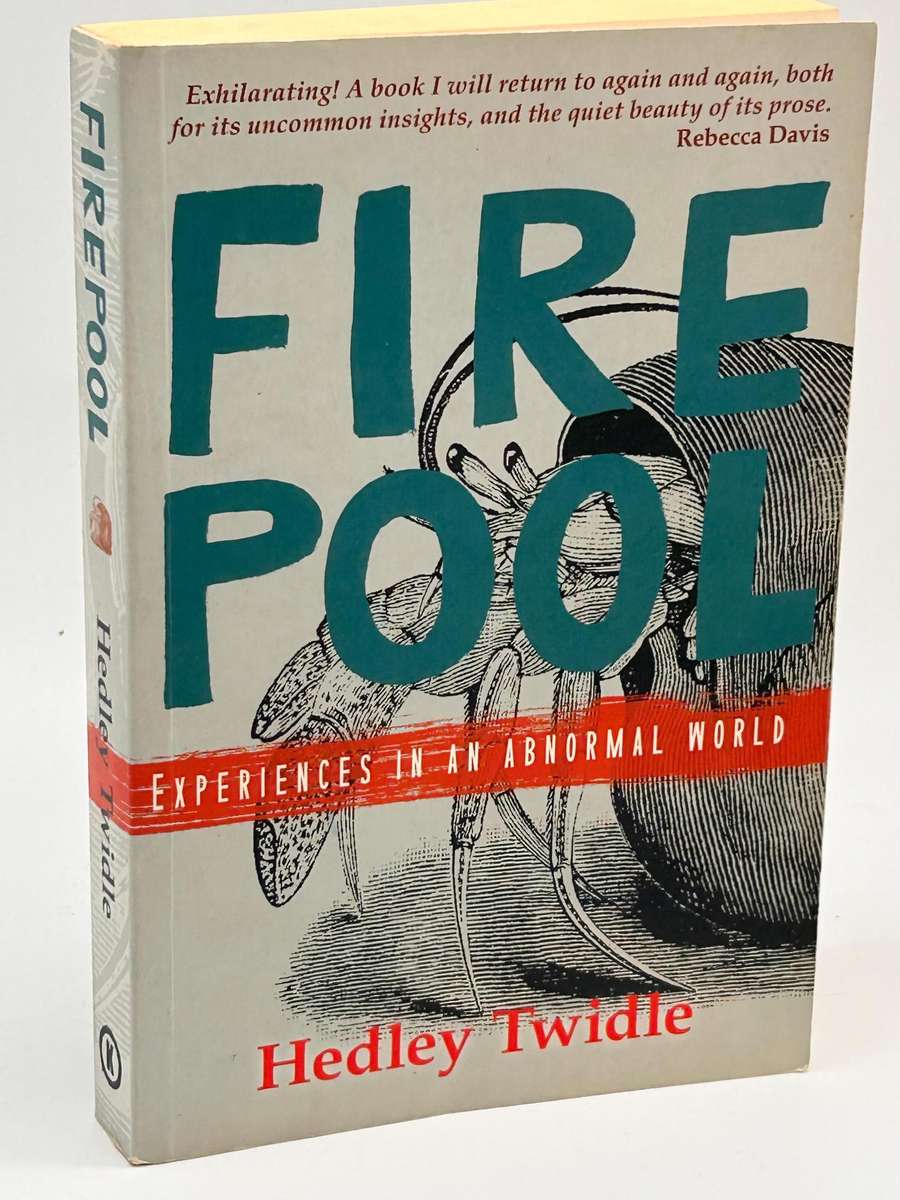 History & Politics - Firepool: Experiences In An Abnormal World - Hedley Twidle for sale in ...