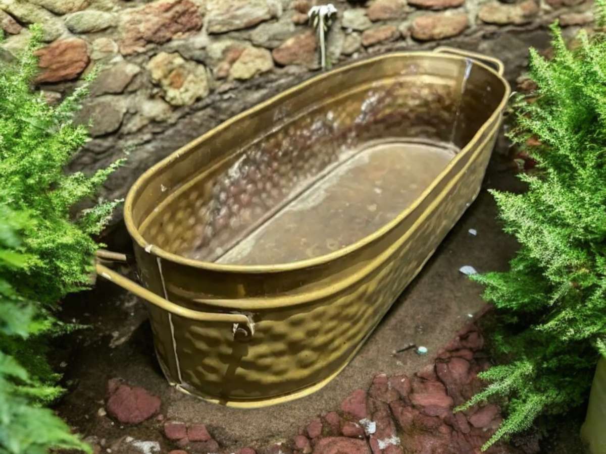 Brass Planter Brass For Sale In Johannesburg Id623102977