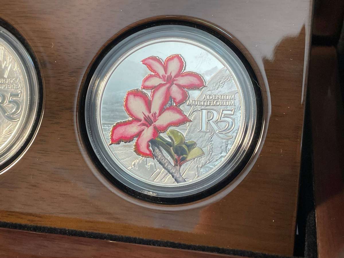 Special Circulation & Commemorative Coins - Very rare full set of 2019 ...