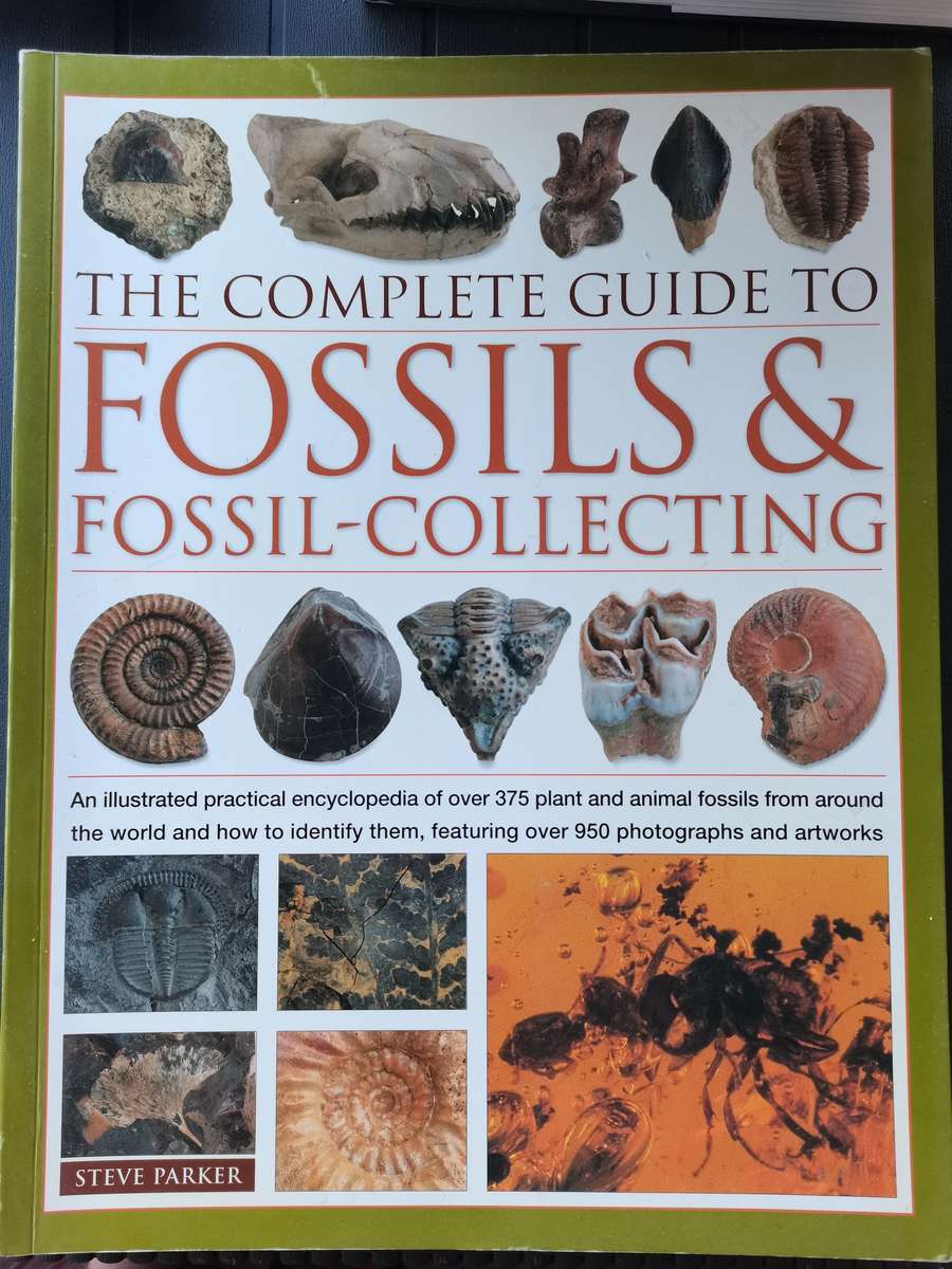 Fossils - The Complete guide to Fossils and Fossil-Collecting for sale in Langebaan (ID:626772090)