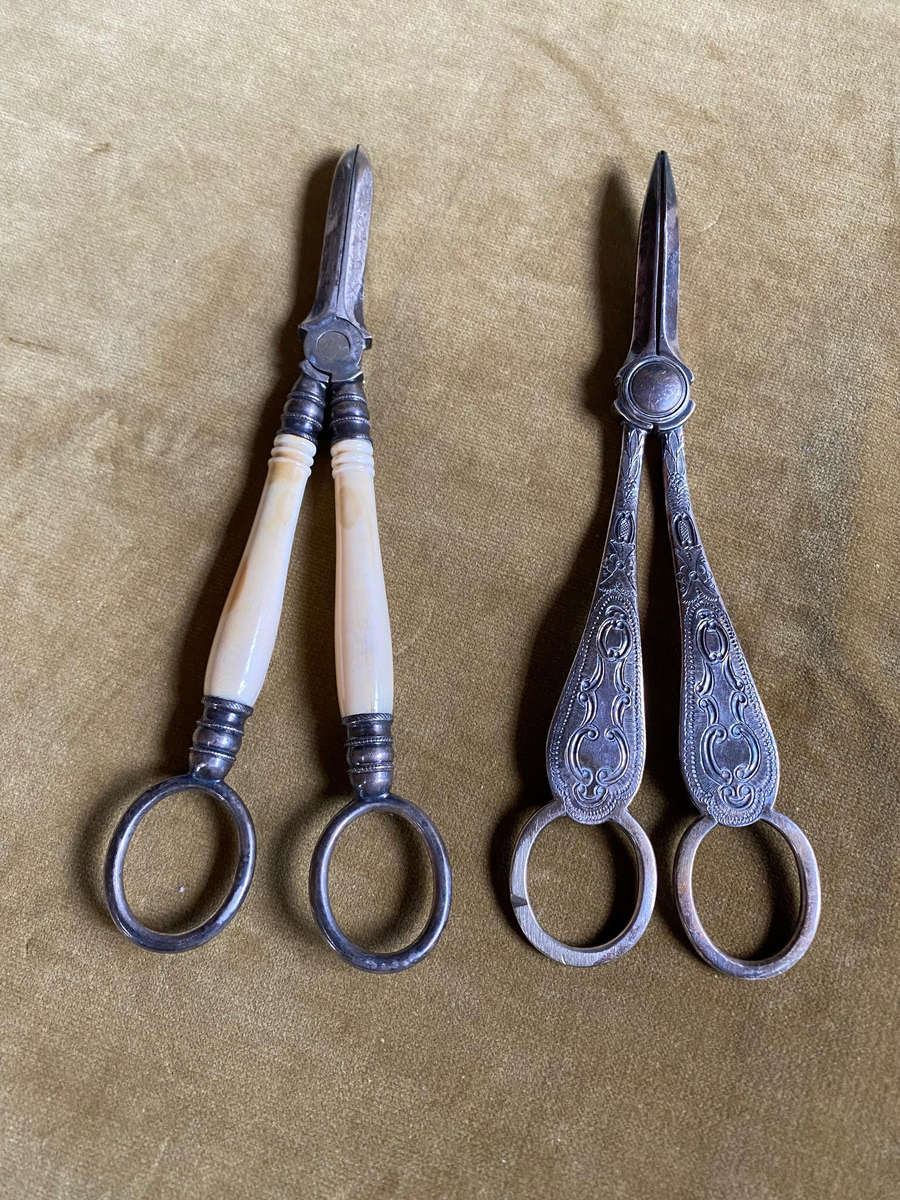 Silver - Antique Silver Grape Shears x2 was sold for 120.00 on 10 Aug at 23:46 by GiuFus0856 in ...