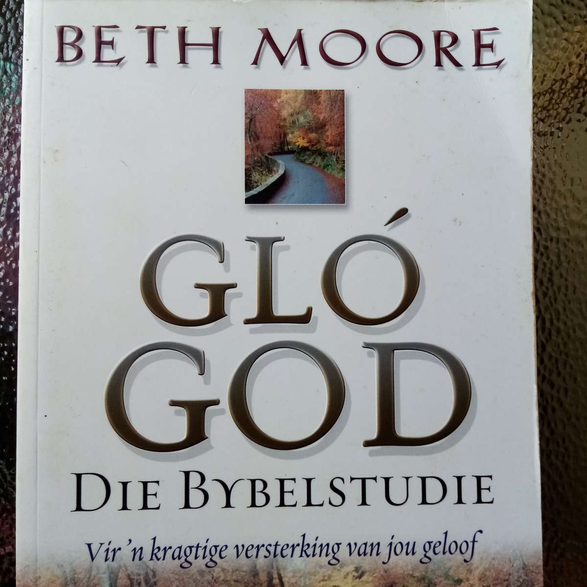 Philosophy, Religion & Spirituality - Verkwikkende Geloof: "Glo God" deur Beth Moore Jou ...