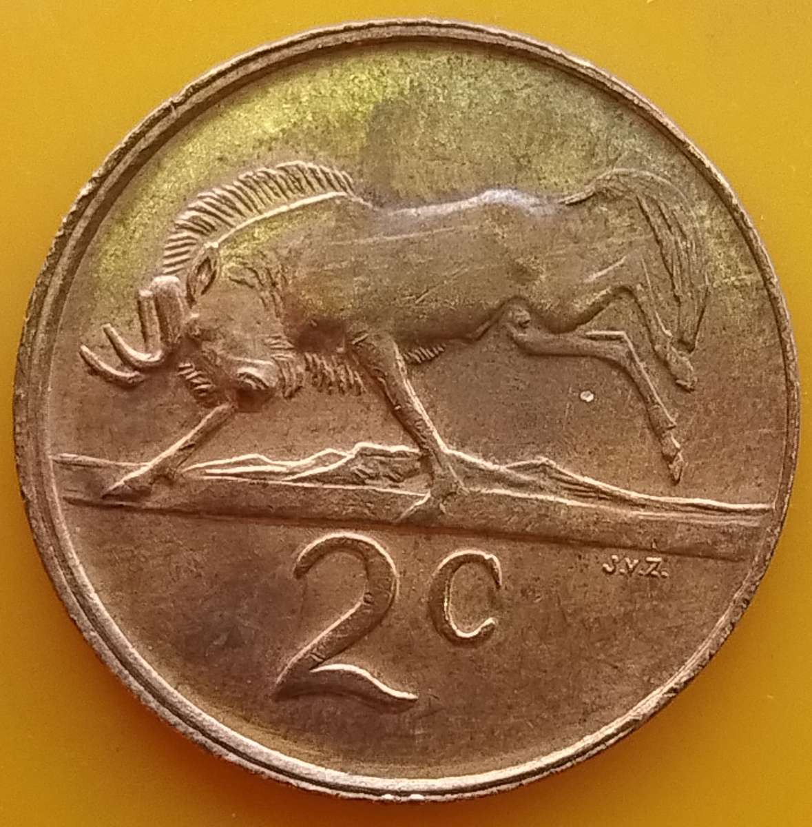 Two Cent - 1981 2c RSA SUN16050~ for sale in Johannesburg (ID:659989342)