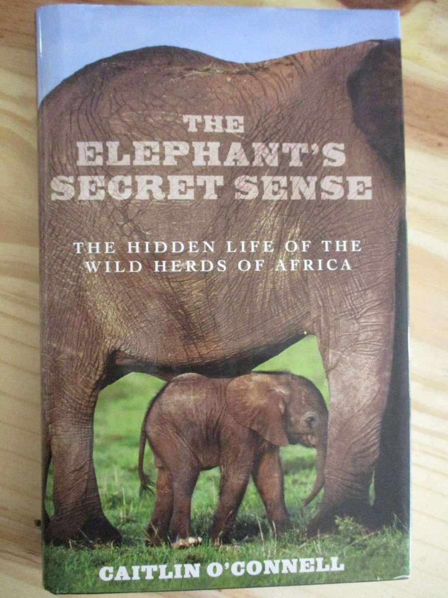 Natural Science - The Elephants Secret Sense The hidden life of the ...