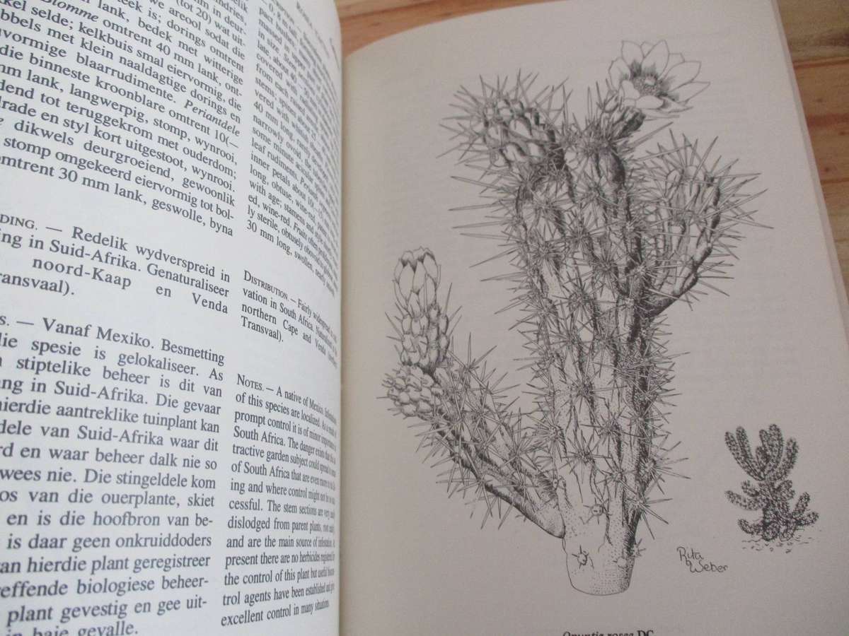 Natural Science - Verklaarde onkruide en inheemse indringerplante ...