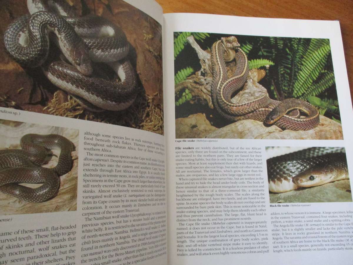 Natural Science - Everyone's guide to snakes of Southern Africa Bill ...